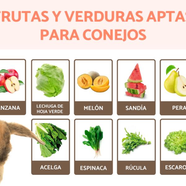 Nombres De Verduras Verdes Glosario Verduras, Frutas, Tubérculos Y