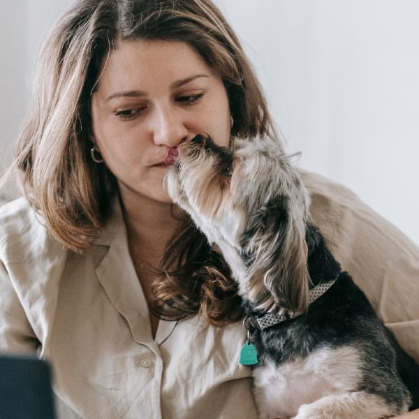 Baba De Perro En La Cara