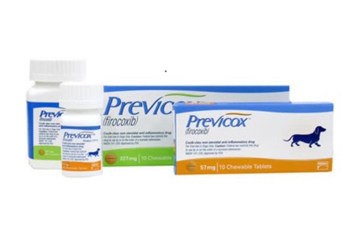Previcox para perros - Dosis, usos y efectos secundarios