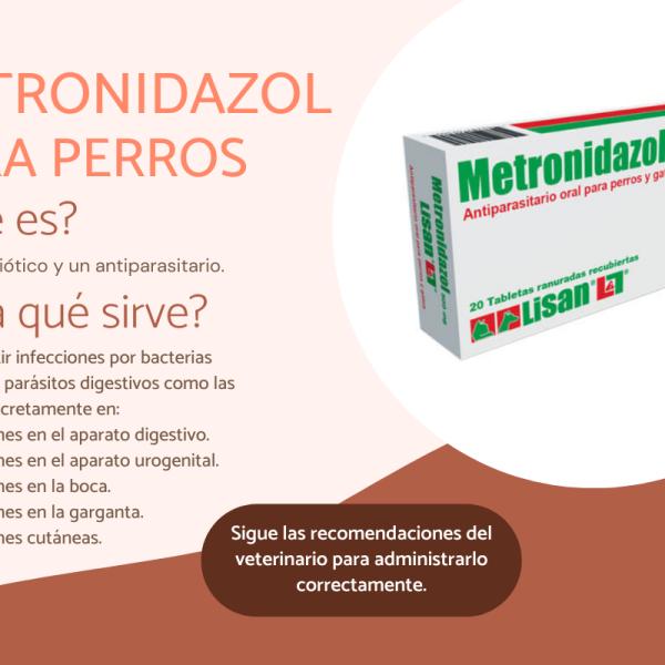El Metronidazol Líquido Para Perros Necesita Ser Refrigerado