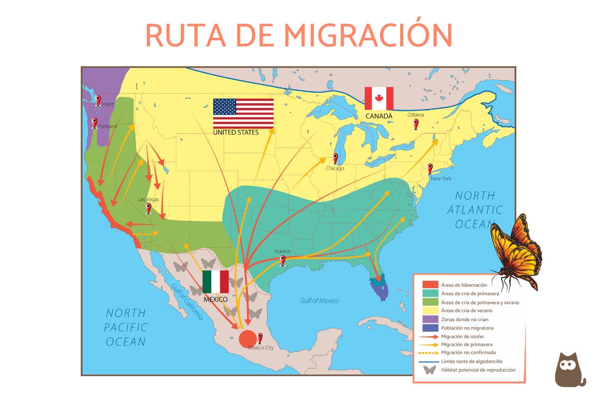 Migración de la mariposa monarca - Duración, época y ruta (con mapa)