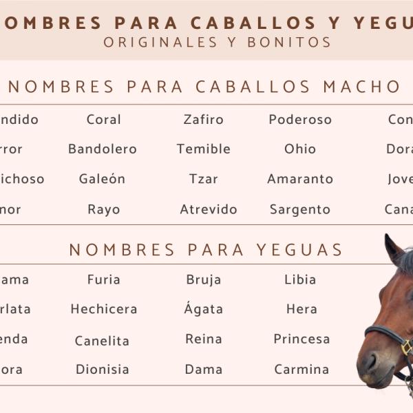 Caballos Aztecas Bailadores