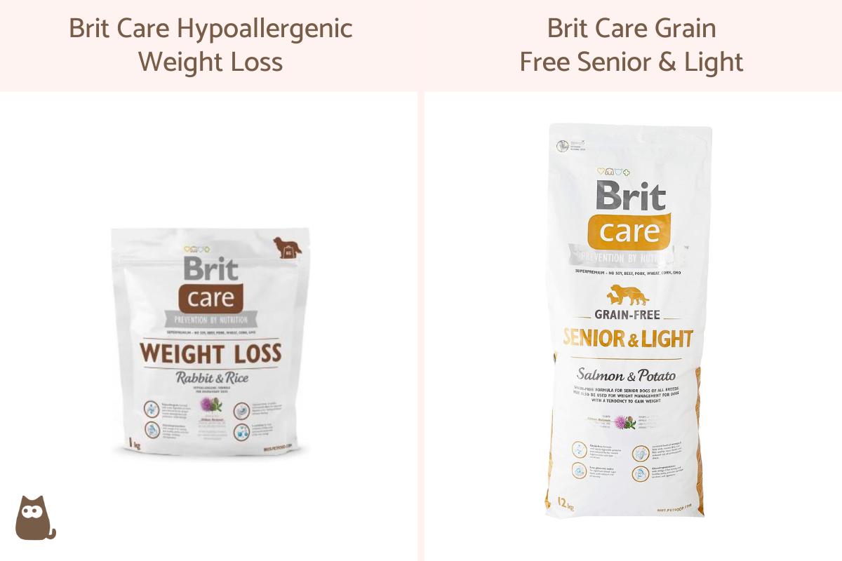 Los 14 mejores piensos para perros esterilizados