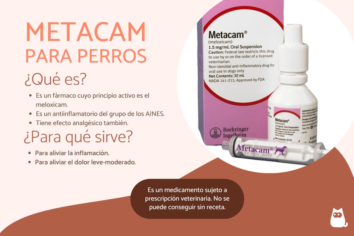 Cuanto Tiempo Tarda En Funcionar La Metacam En Perros