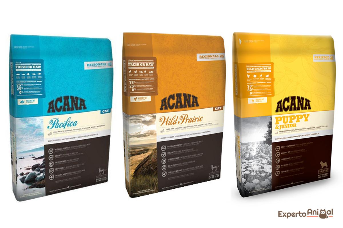 Pienso Acana para perros y gatos - Opiniones, composición y precio