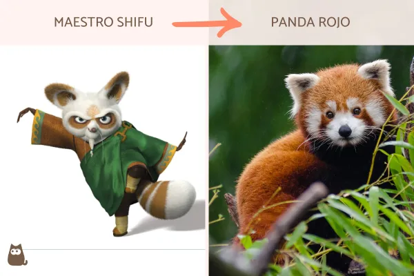 Personajes De Kung Fu Panda 1